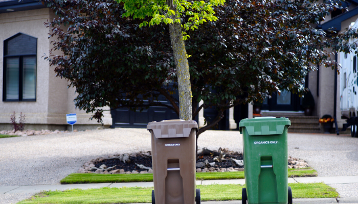 13 Clever Ways to Hide Outdoor Eyesores and Boost Your Curb Appeal ...